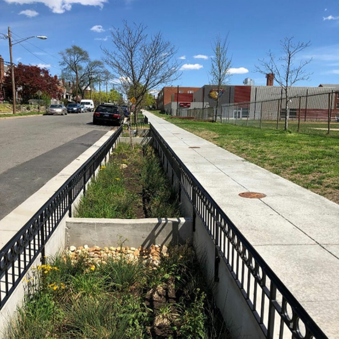 Green Infrastructure Installations Q&A With Patrick DiNicola | RK&K Blog