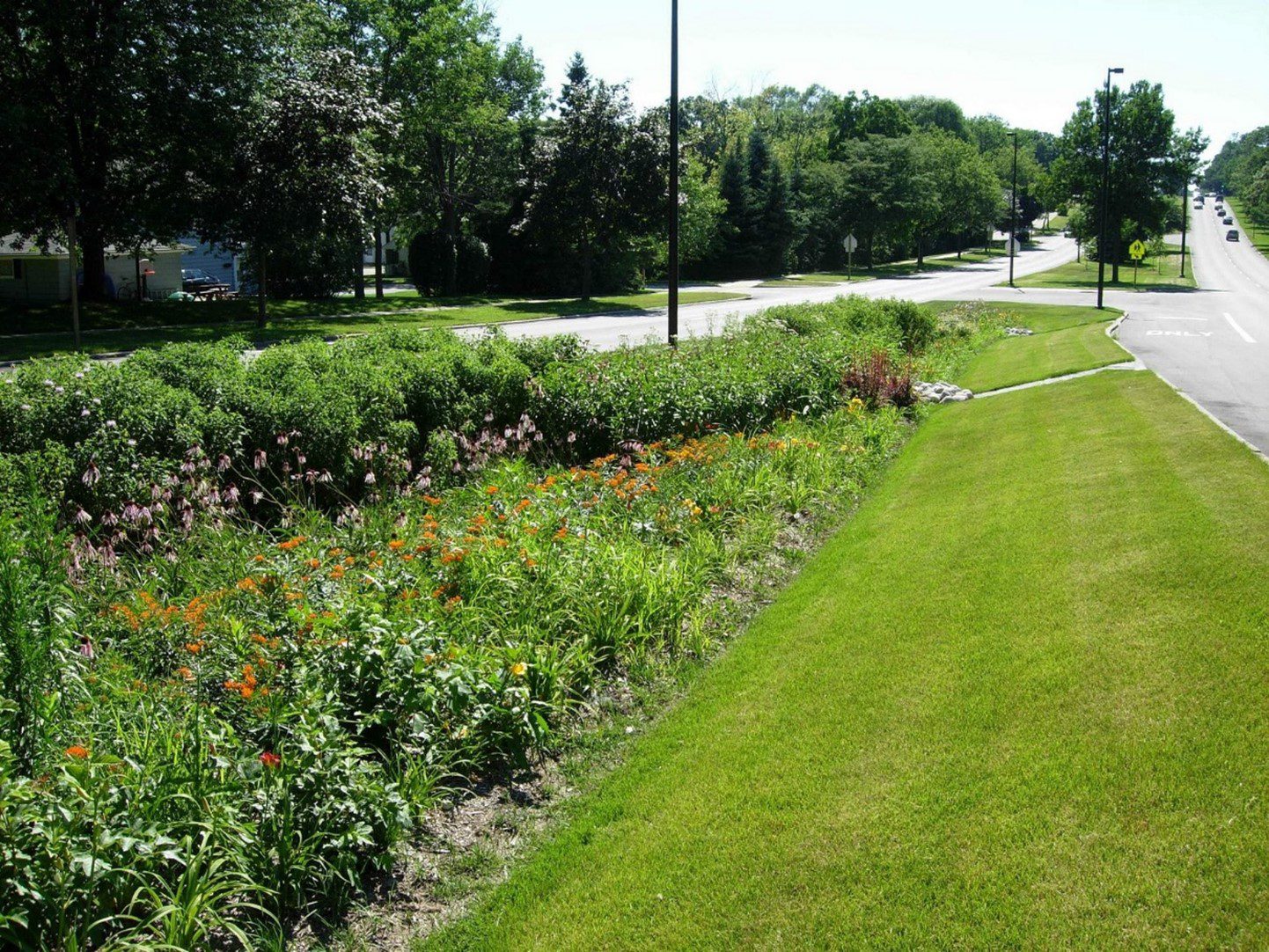 Bioretention Facilities and Green Infrastructure Design Approaches | RK ...